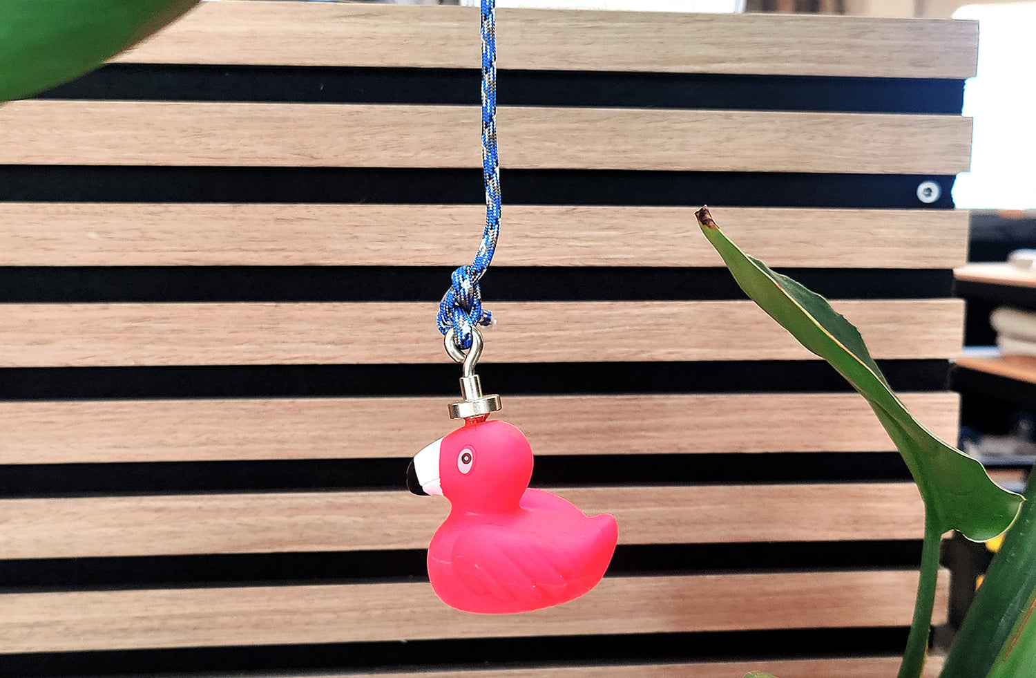 Fishing Ducks - Make your own fish pond - Magnetic duck game – Magnetz ...