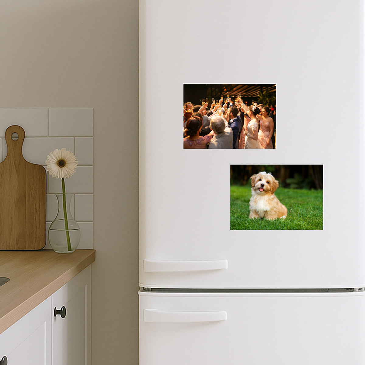 Fridge magnets with your own photos? Buy 2-packs of A5 photo magnets here
