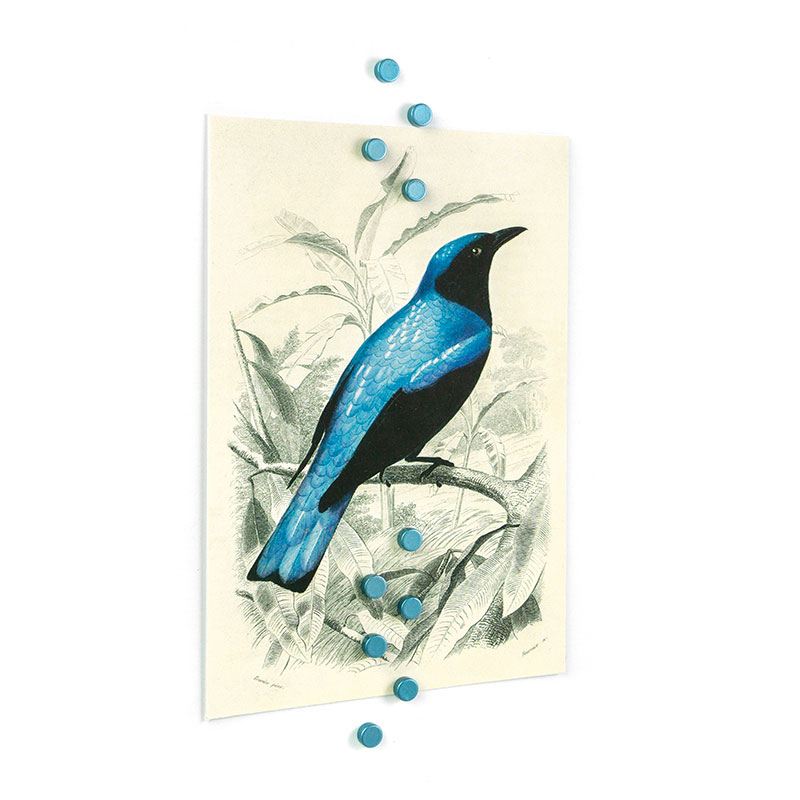 Colored magnets | Power magnets in colors | See the selection here ...